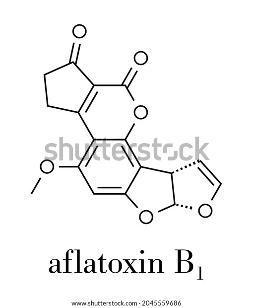 Aflatoxin B1 Mold Carcinogenic Molecule Skeletal Stock Vector (Royalty ...