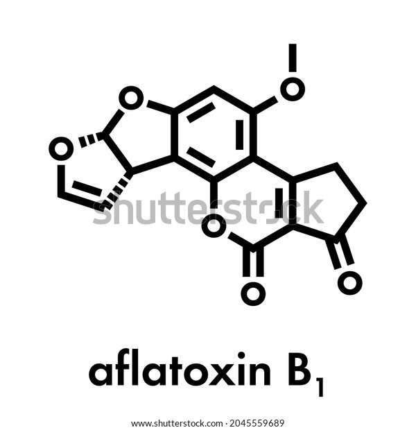 Aflatoxin B1 Mold Carcinogenic Molecule Skeletal Stock Vector (Royalty ...