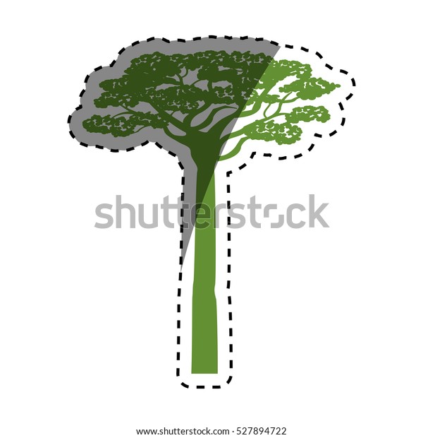 Africa Acacia Tree Icon Vector Illustration Stock Vector (Royalty Free ...