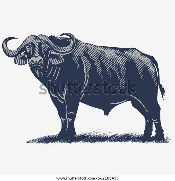 3,510 African Buffalo Stock Vectors, Images & Vector Art | Shutterstock