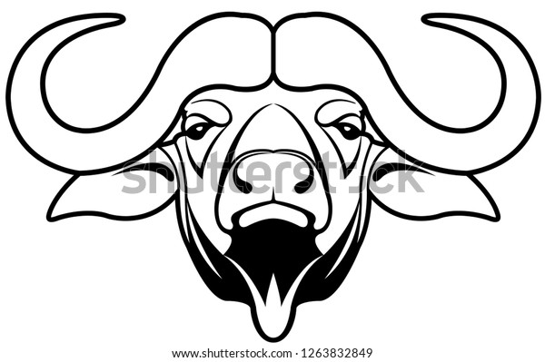 African Cape Buffalo Head Vector Cape Stock Vector (Royalty Free ...