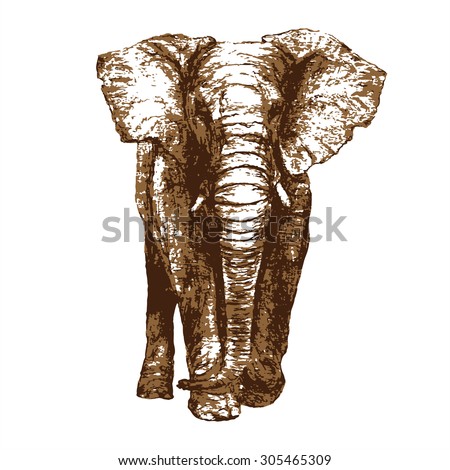 Front Facing Elephant Drawing | Free download on ClipArtMag