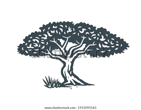 African Tree Vector Illustration Monochrome Version Stock Vector ...