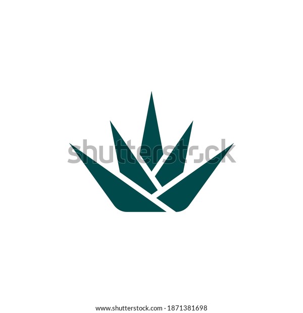 Agave Icon Design Isolated On White Stock Vector (Royalty Free ...