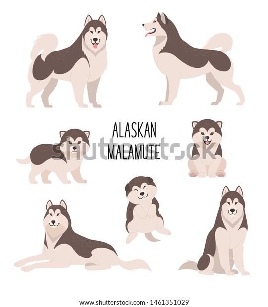 Alaskan Malamute Vector Illustration Cartoon Cute Stock Vector (Royalty ...