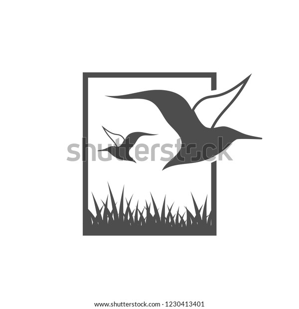 Albatross Bird Graphic Design Template Vector Stock Vector (Royalty ...