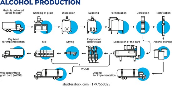 Alcohol Process Creating Alcohol Alcohol Production 库存矢量图（免版税 ...