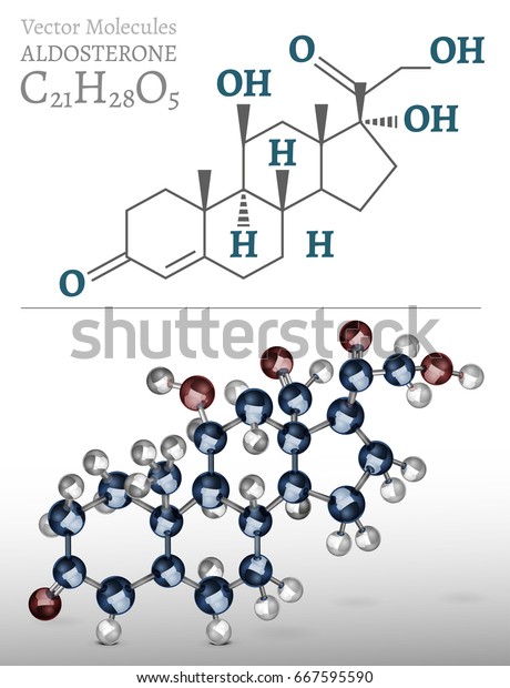 Aldosterone Molecule Image Vector Illustration 3d Stock Vector (Royalty ...