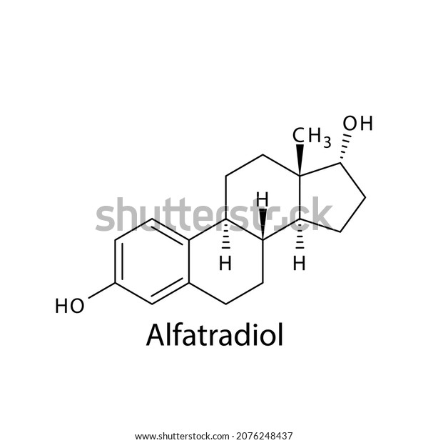 Alfatradiol Molecular Structure Flat Skeletal Chemical Stock Vector ...