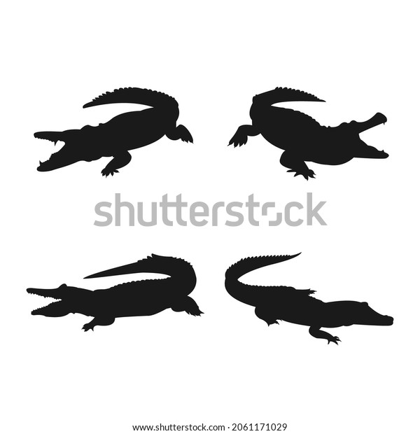 275 Aligator Tail Images, Stock Photos & Vectors | Shutterstock