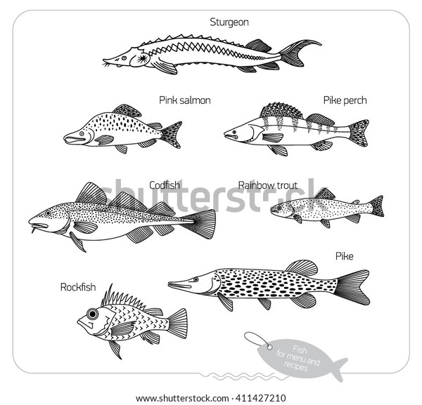 All Kinds Fish Menu Recipesgraphic Images Stock Vector (Royalty Free ...