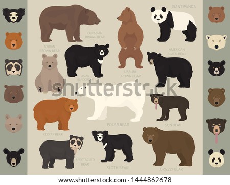 Black Bear Clipart | Free download on ClipArtMag