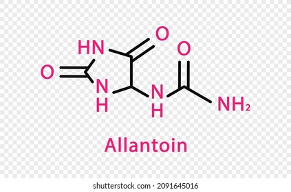 Allantois Images, Stock Photos & Vectors | Shutterstock
