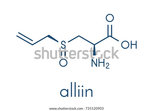 Alliin Garlic Molecule Skeletal Formula Stock Vector (Royalty Free ...