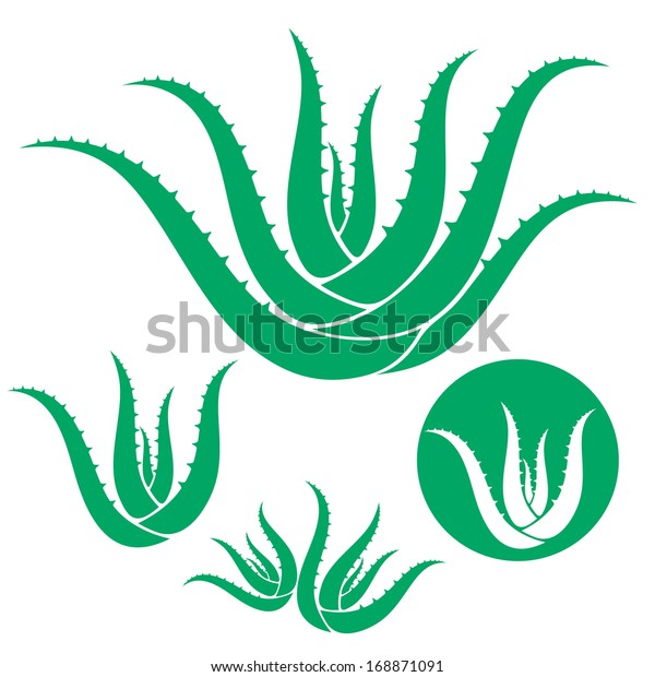 Aloe Vera Icon Set Isolated Aloe Stock Vector (Royalty Free) 168871091