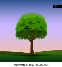 Tree Shadow Vector Stock Vector (Royalty Free) 711901102