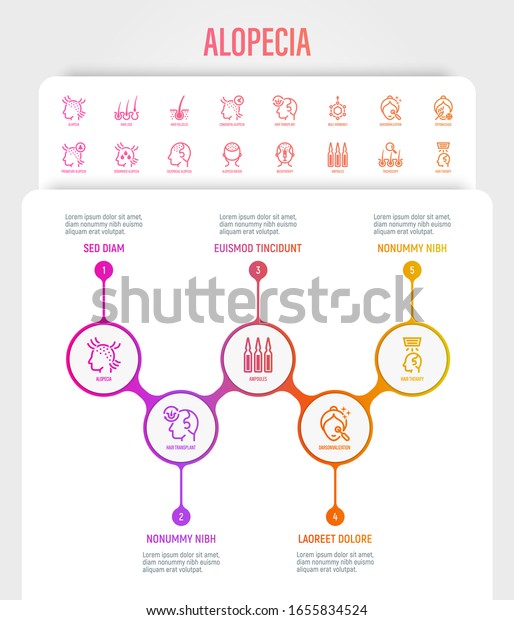 Alopecia Her Types Infographics Thin Line Stock Vector (Royalty Free ...