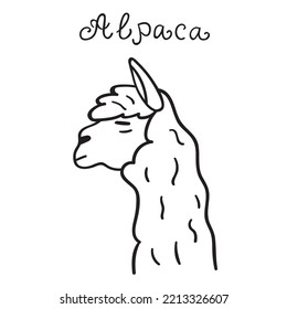 Alpaca Head Outline Vector Hand Drawn Stock Vector (Royalty Free ...