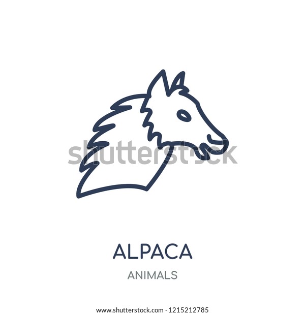 Alpaca Icon Alpaca Linear Symbol Design Stock Vector (Royalty Free ...