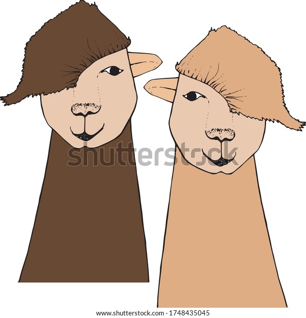 Alpaca Twix Hand Drawn Cartoons Sketch Stock Vector (Royalty Free ...