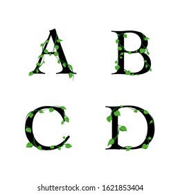 Alphabet Letters Leaf Design Abcd Stock Vector (Royalty Free ...