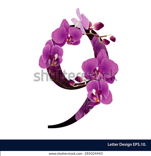 Alphabet Number Nine Flower Vector Illustration Stock Vector (Royalty ...