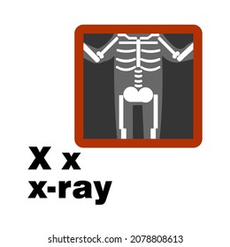 Alphabet X X X Ray Stock Vector (Royalty Free) 2078808613 | Shutterstock