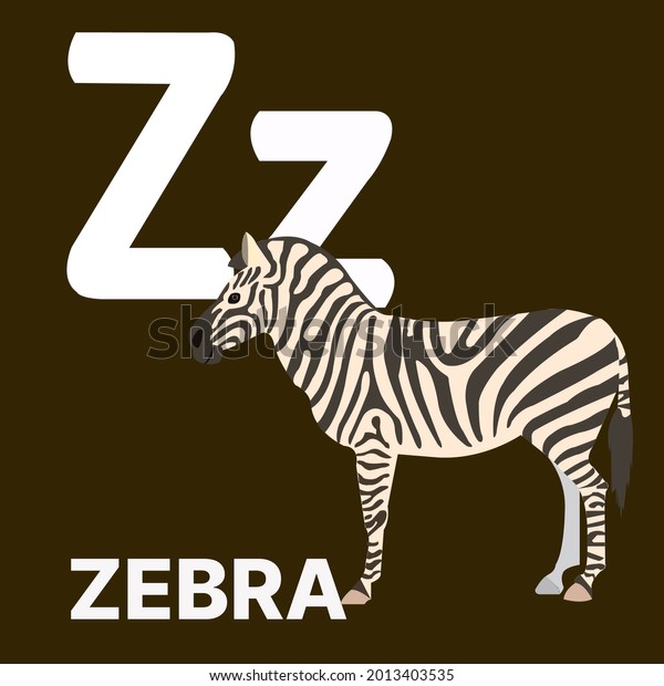 Alphabet Z Z Zebra Vector Illustration Stock Vector (Royalty Free ...