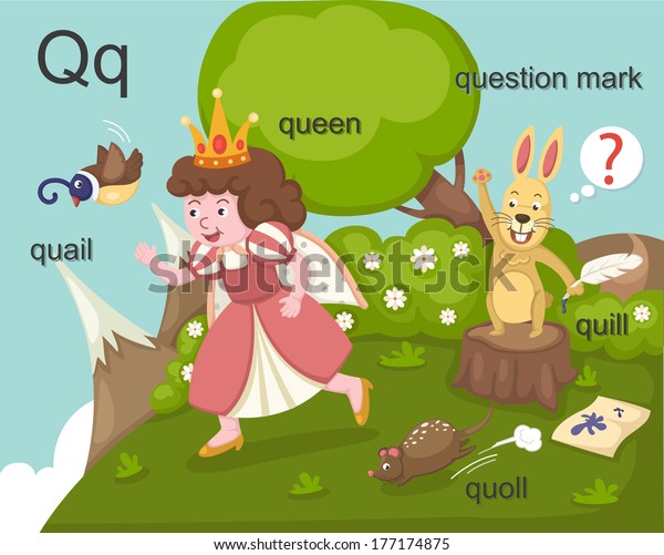 알파벳.Q letter.quail,queen,quill,quoll,물음표 스톡 벡터(로열티 프리) 177174875 ...