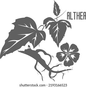 Althea Plant Vector Silhouette Isolated Althaea Stock Vector (Royalty ...