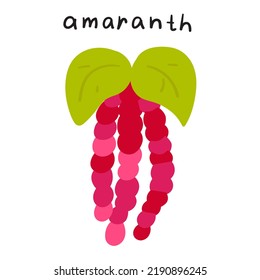 3,327 Amaranth Vector Images, Stock Photos & Vectors | Shutterstock