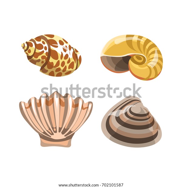 Amazing Shiny Curved Sea Shells Isolated Stock Vector (Royalty Free ...