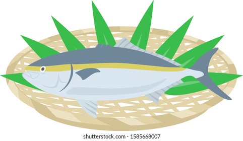 39 Yellowtail kingfish Stock Vectors, Images & Vector Art | Shutterstock