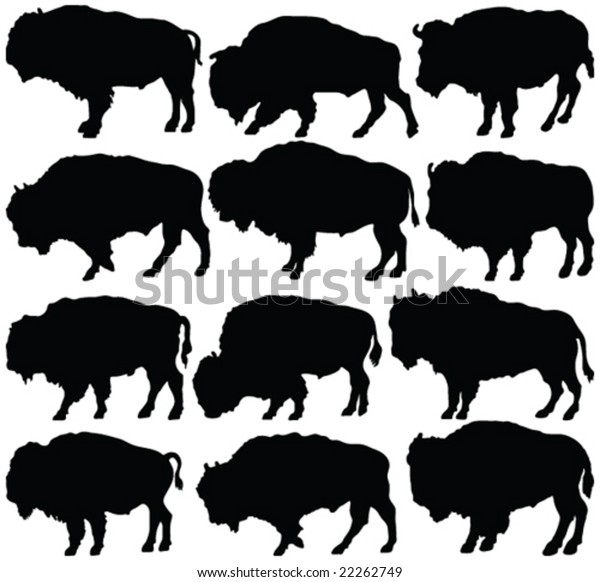 American Bison Silhouette Collection Vector Stock Vector (Royalty Free ...
