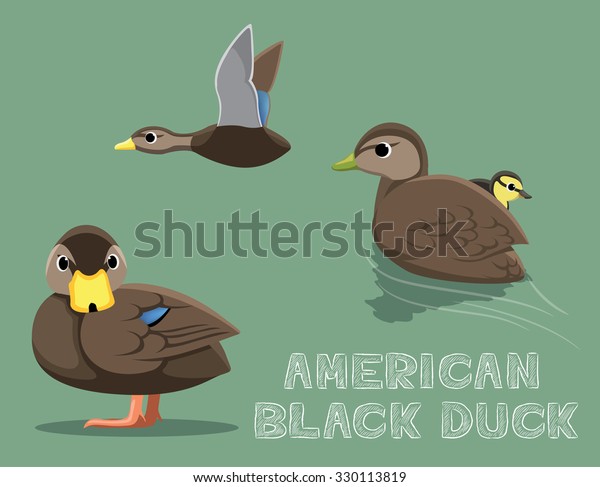 American Black Duck Cartoon Vector Illustration: vector de stock (libre ...