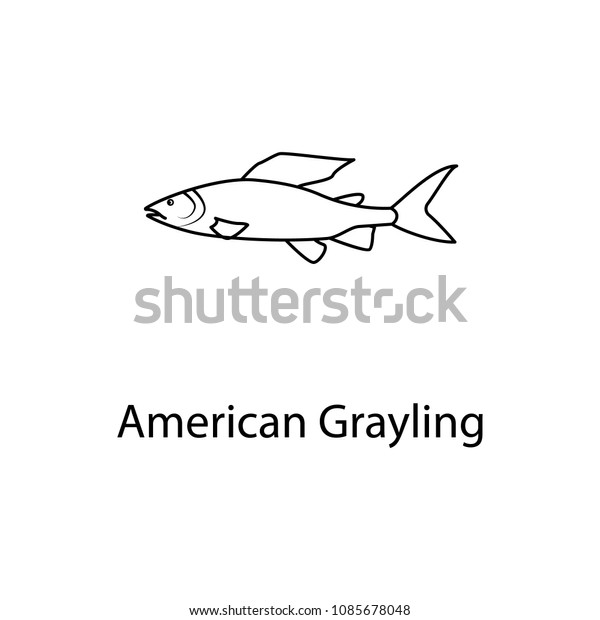 American Grayling Icon Element Marine Life Stock Vector (Royalty Free ...