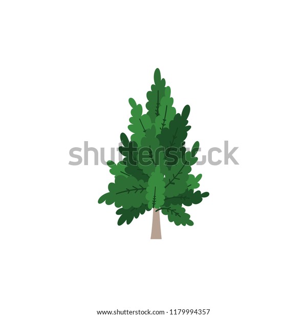 American Holly Tree Isolated On White Stock Vector (Royalty Free ...