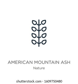 American Mountain Ash Icon Thin Linear Stock Vector (Royalty Free ...