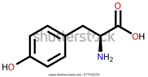 Amino Acid Tyrosine Structural Formula Stock Vector (Royalty Free ...
