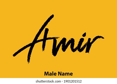 Amir Male Name Cursive Calligraphy Text Stock Vector (Royalty Free ...