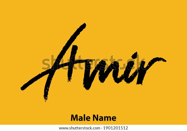Amir Male Name Cursive Calligraphy Text Stock Vector (Royalty Free ...
