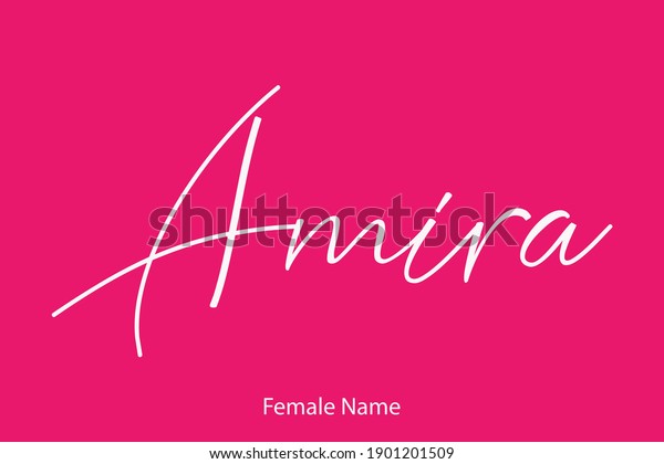 Amira Female Name Beautiful Cursive Typography Stock Vector (Royalty ...