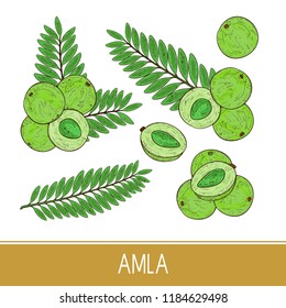 Amla Images, Stock Photos & Vectors | Shutterstock