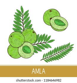 Amla Images, Stock Photos & Vectors | Shutterstock