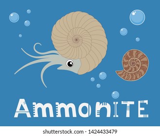 1,108 Ammonite vector Images, Stock Photos & Vectors | Shutterstock