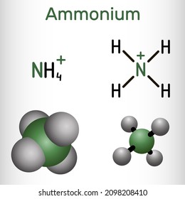 Ammonium Cation Azanium Molecule Positively Charged: เวกเตอร์สต็อก ...