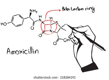 Amoxicillin Chemical Structure Drawing Hand Show: เวกเตอร์สต็อก (ปลอด ...
