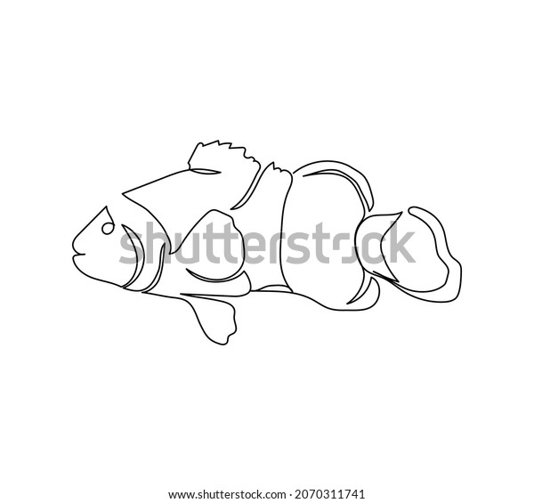 Amphiprioninae Clownfish Continuous Line Drawing One Stock Vector ...