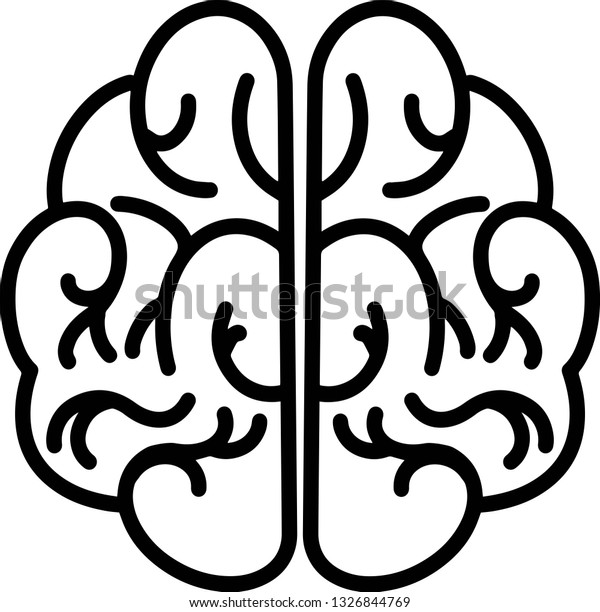 Anatomic Brain Bw Vecror Illustration Stock Vector (Royalty Free ...