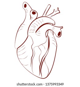 Anatomic Weird Heart Stock Vector (Royalty Free) 1375993349 | Shutterstock